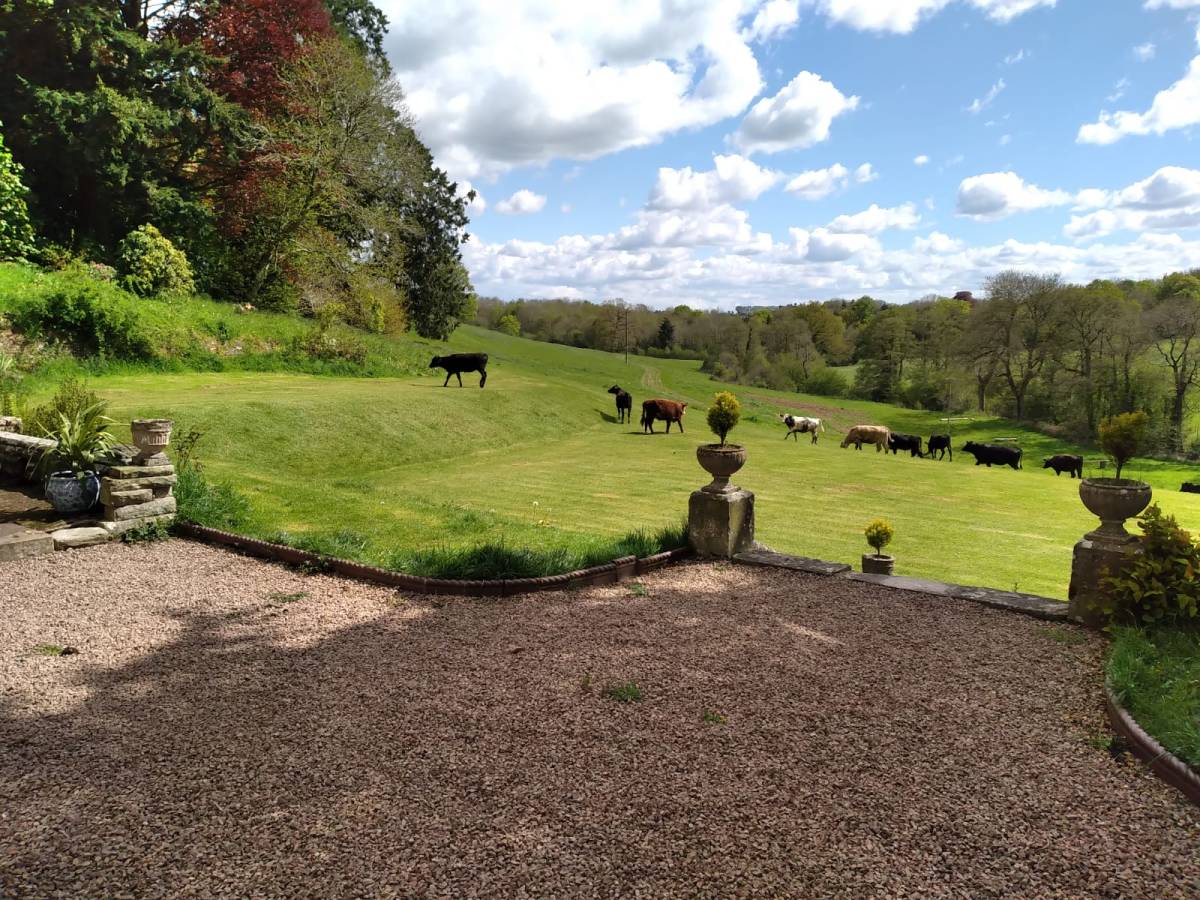 Great Escape – © Dominic Wightman Personal Bio Site 2024